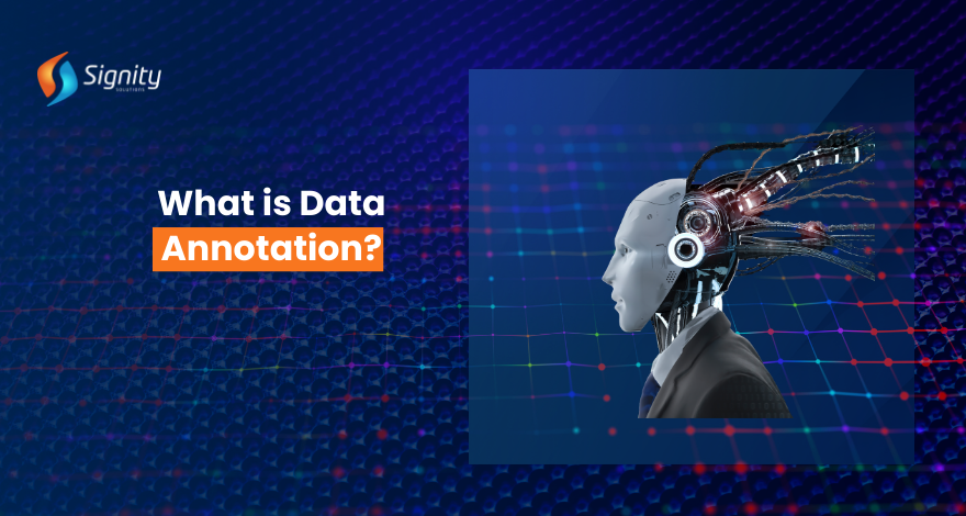 What is Data Annotation? Why You Need It